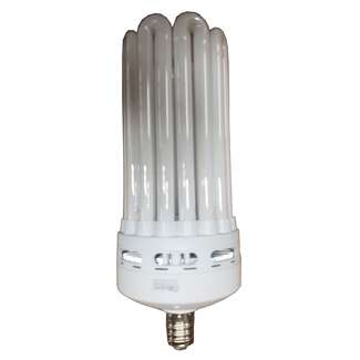 Maxlite 150 Watt 5000K CFL Light Bulb