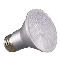 5000K Natural Light PAR20 LED Lamps